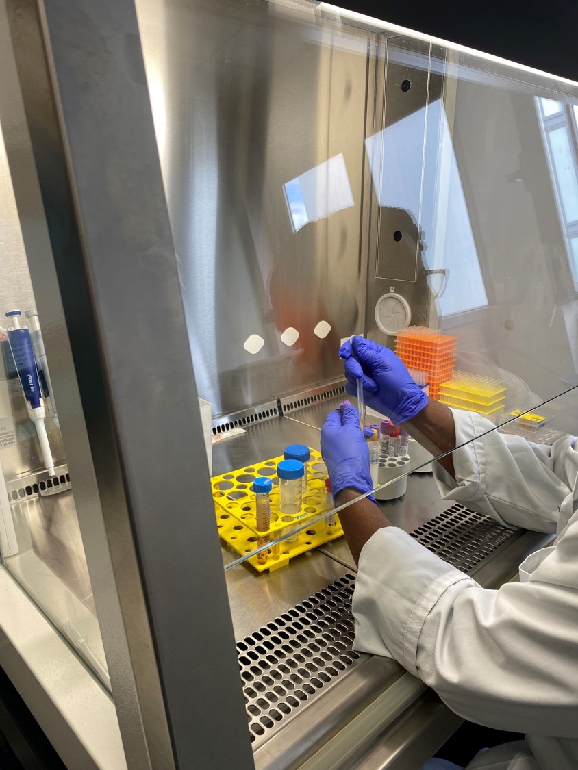 Image6 - Plateforme de Ressources Biologiques Mondor